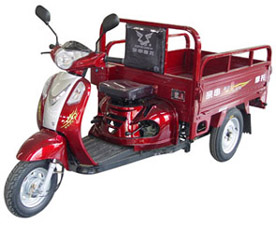 宗申_ZS110ZH-15_正三轮摩托车_汽车公告_商车网