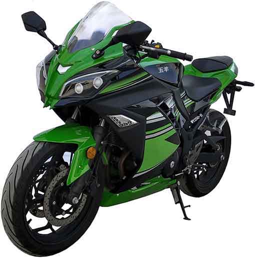 五羊_WY250-D_两轮摩托车_汽车公告_商车网