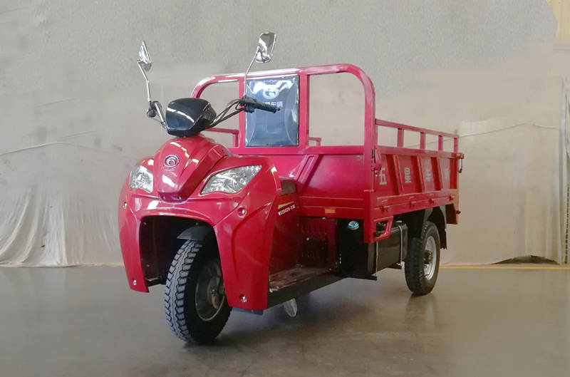 五星_WX250ZH-23E_正三轮摩托车_汽车公告_商车网