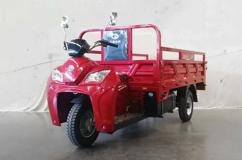 五星_WX250ZH-23E_正三轮摩托车_汽车公告_商车网