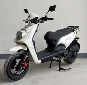 王野_WY150T-9E_两轮摩托车_汽车公告_商车网