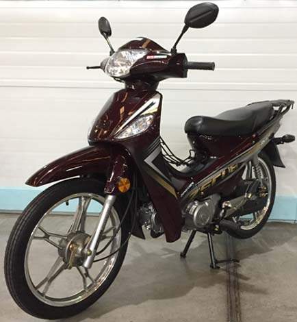 宗申(ZONGSHEN)_ZS110-9E_两轮摩托车_汽车公告_商车网