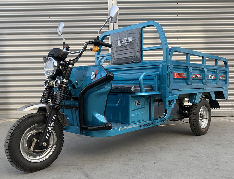 五羊_WY2000DZH_电动正三轮摩托车_汽车公告_商车网