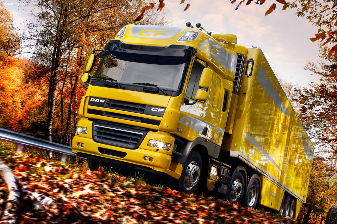 达夫105,达夫,达夫f_大山谷图库